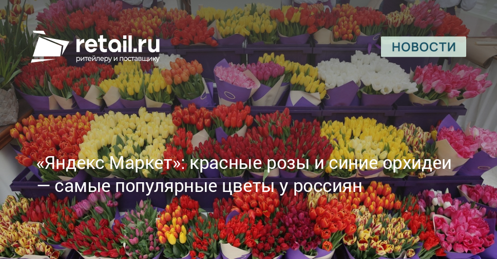 «Яндекс Маркет»: красные розы и синие орхидеи — самые популярные цветы ...